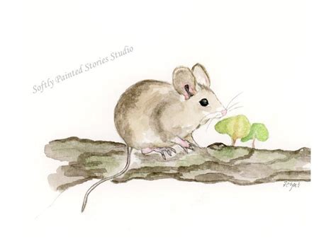 Cute Field Mouse Fine Art Print T For A Nature Lover Etsy