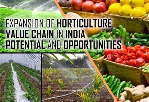 Agriculture Ministry To Host National Level Horticulture Value Chain Event In Pune On Nov 1