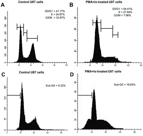Pma And Io Induce Cell Cycle Arrest And Apoptosis In U87 Gbm Cells U87