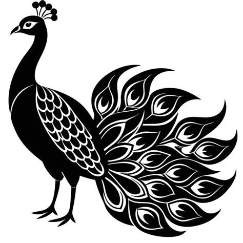 Page 7 Peacock Line Art Vector Art Icons And Graphics For Free Download