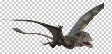 Dinosaur Dimorphodon Jurassic Park Pteranodon Png Clipart 2015