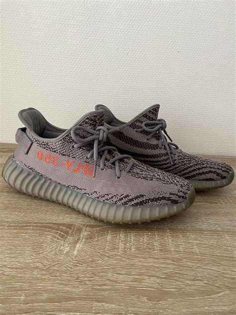 Beluga 20 Album On Imgur Beluga 20 Album On Imgur