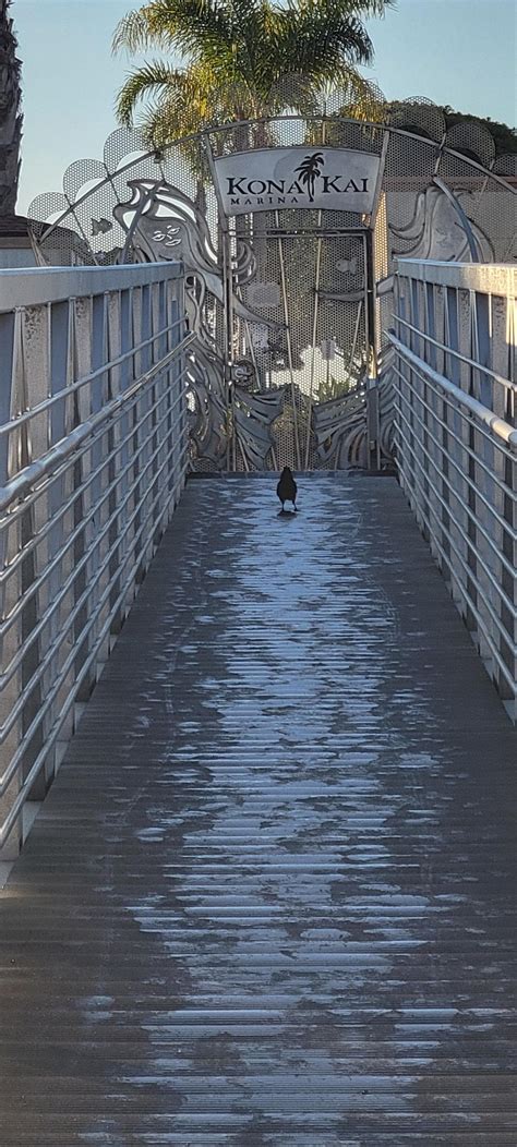 Thou Shall Not Pass Lol Rcrows