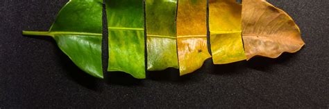 The Importance Of Scrotal Support For Mens Health Tbô Underwear