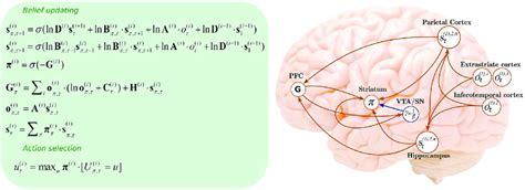Schematic Overview Of Belief Updating Left Panel Belief Updates Download Scientific Diagram