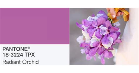 Orchid Wedding Ideas Popsugar Love And Sex