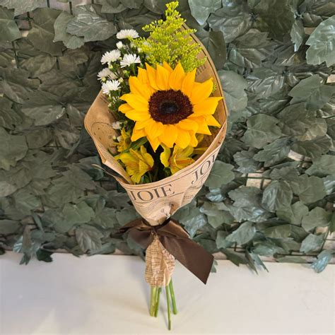 Girassol Notícia Alegre Floricultura 4r