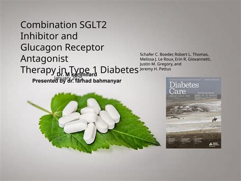 Combination Therapy With Sglt2 Inhibitors And Glucagon Receptor