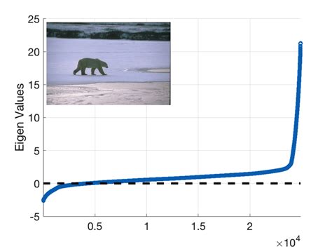 spectrum of eigenvalues of typical kernel matrices for synthetic data