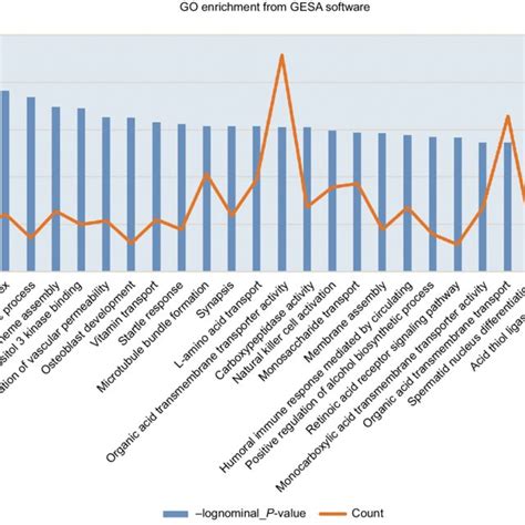 Go Enrichment Analysis From Gsea Abbreviations Go Gene Ontology
