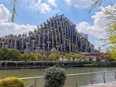 Shanghai Tian An 1000 Trees Facts Highlights And Travel Guide