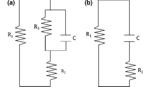 8 A Hayden Model R 1 Apoplasmic Resistance R 2 Symplasmic