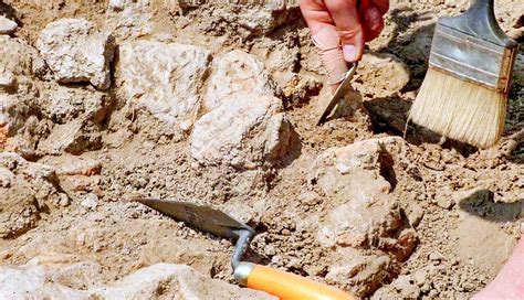 The History Of Governors Land Digging Into Decades Past