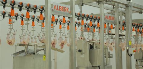 Food Processing Technologies Alberk Poultry Processing Equipment