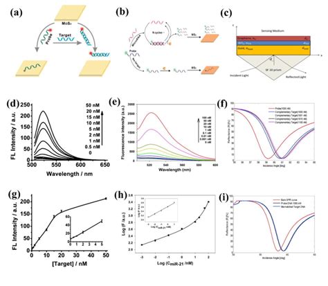 A Dna Sensing Using High Fluorescence Quenching Properties Of Download Scientific Diagram
