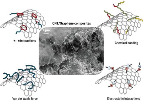 Schematic Diagrams Of Four Different Chemical Modification Schemes Of