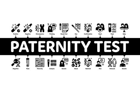 Paternity Test Dna Minimal Infographic Graphic By Pikepicture