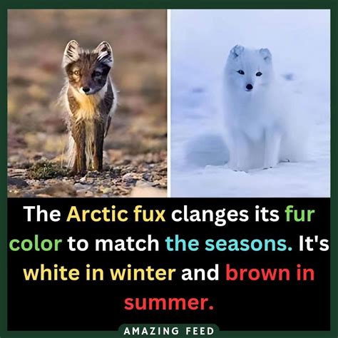 Ashkan Shekaari On Linkedin This Statement Is A Typical Example Of