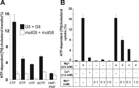 Triphosphate Nucleotide Specificity And Divalent Cation Requirement For Download Scientific