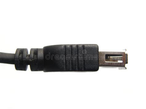 24 Pin Female Connector For Electrical Connections Stock Image Image
