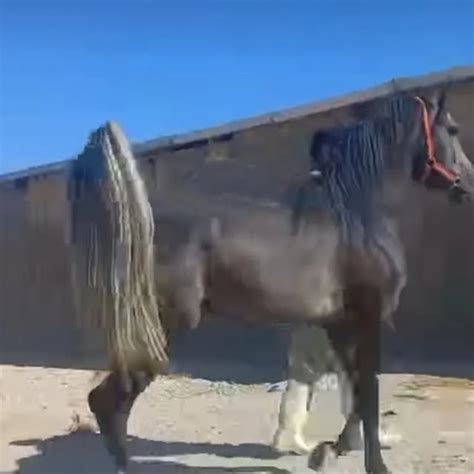 به خانوم دکی