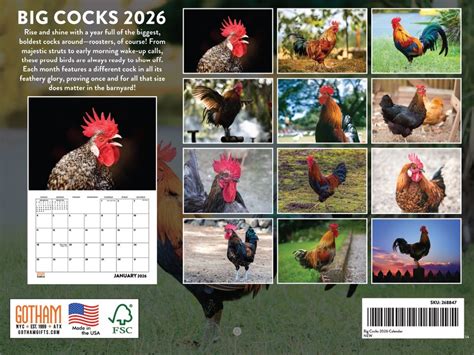 Big Cocks Calendar 2026 Rooster Monthly Wall Calender 12 Month 12x18 Ebay