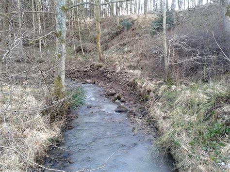Willow Spiling Blog Foxglove Covert Local Nature Reserve