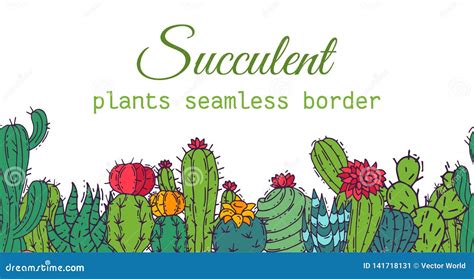 Succulents Seamless Border Pattern Cacti Green Plants Vector