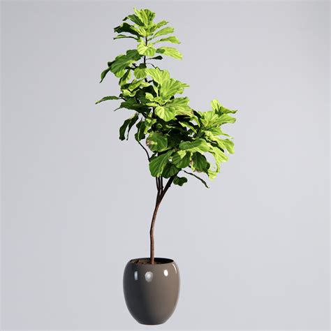 Free Pots Sketchup A4design Shop