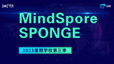 Mindspore Sponge暑期学校第三季 822