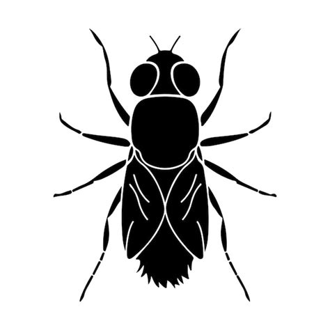 Professional Fly Vector Art Unique Illustration Premium Ai Generated