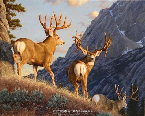 Deer Art