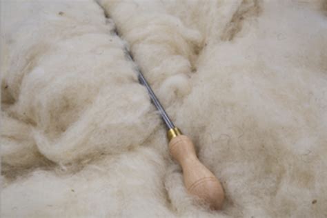 What Is Saddle Flocking At Charli Willie Blog