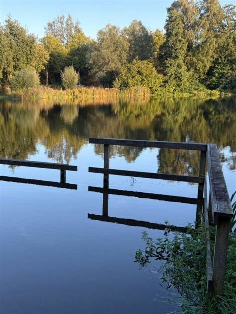 Hoboïste Davida Scheffers In Tv Programma Het Max Orkest