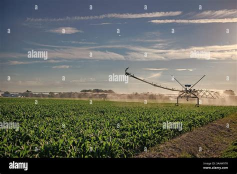Crop Irrigation Agriculture And Farming Irrigation System Watering