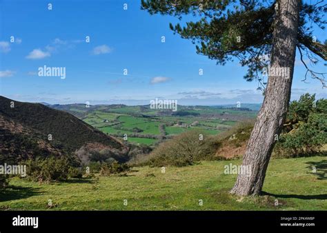 View Through Crowsnest Dingle Towards Bromlow Callow Near Snailbeach