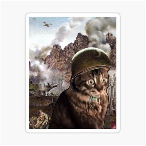Cat War Ptsd Meme Silly Sticker For Sale By Chookiebookie Redbubble