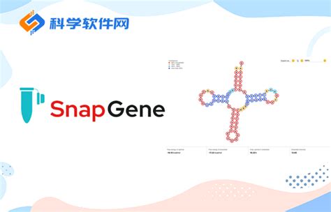Snapgene V612 更新 知乎 Snapgene V612 更新 知乎