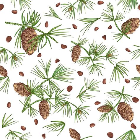 Premium Vector Seamless Pattern With Color Cedar Branches And Pinecones Isolated On White
