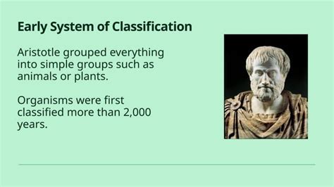 Heirarchical Taxonomic Classificationpptx