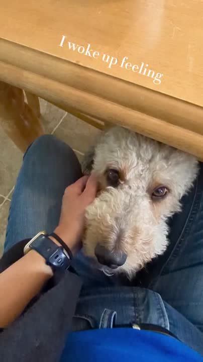 Sandra Loo On Linkedin Superstarclients Greatpartnership