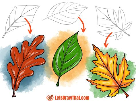 Fall Leaf Drawings Autumn Leaves Sketch Vector Images Over 12 000