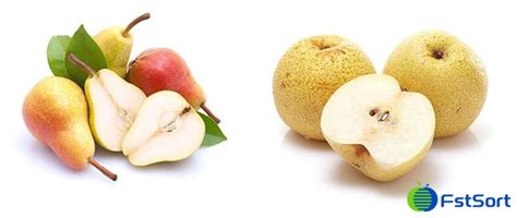 pear sorting grading machine