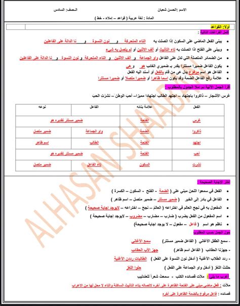 نموذج مذاكرات نحو إملاء محلول الوحدة الأولى لغة عربية الصف السادس الفصل الاول 2025 2026