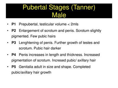Department Of Physiology Ppt Download