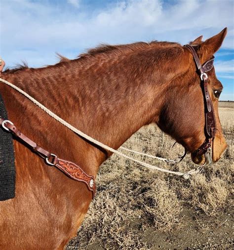 Antique Leather With Tooling One Ear Headstall Western Headstall