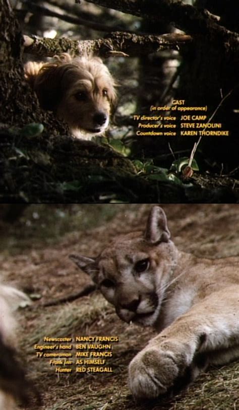 Benji The Hunted 1987 Movie Behind The Voice Actors