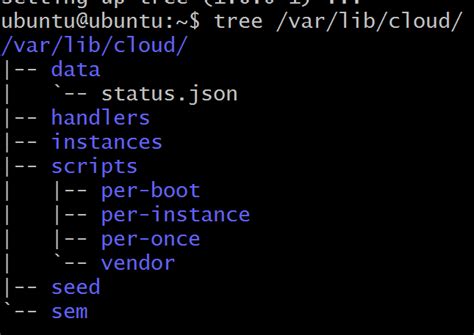 whiteboard coder install cloud init on ubuntu and use locally… nocloud