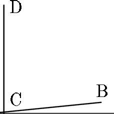 A Vertex Has Been Forgotten Due To An Inconsistent Topology Following