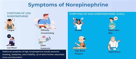 Norepinephrine Functions Relation With Addiction Dysregulation